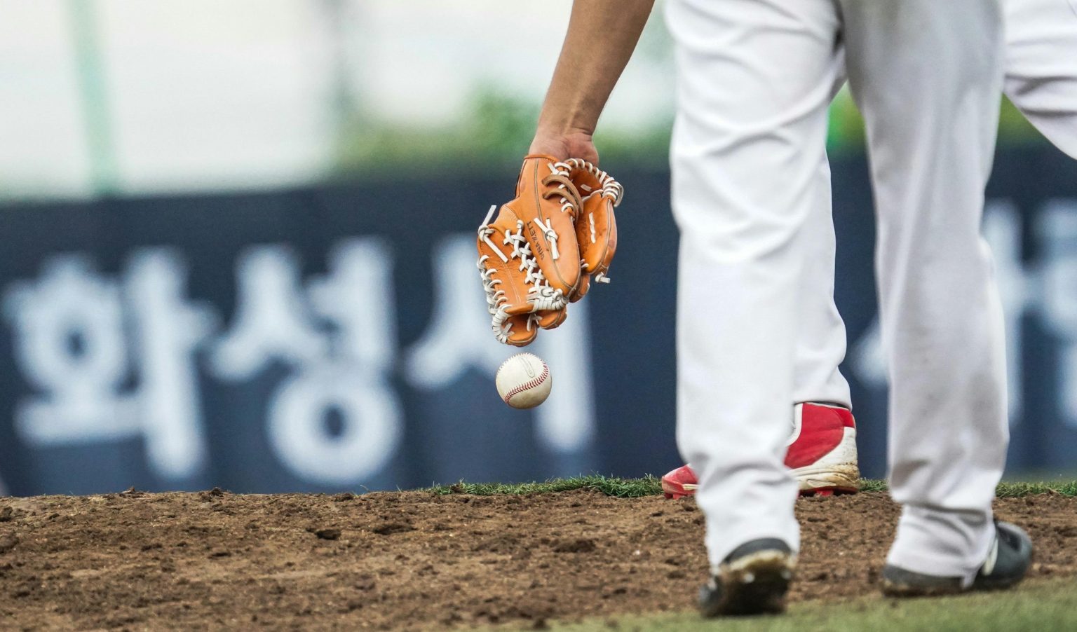 How to Lace a Baseball Glove Like a Pro | Blog Article by Loop King